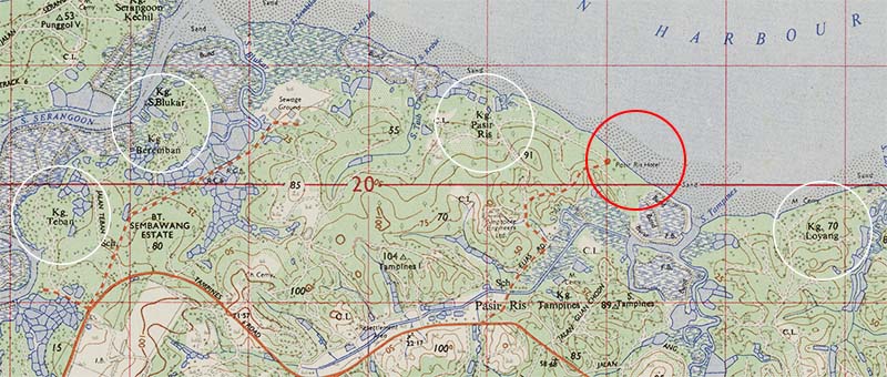 Bridging Past and Present in Pasir Ris